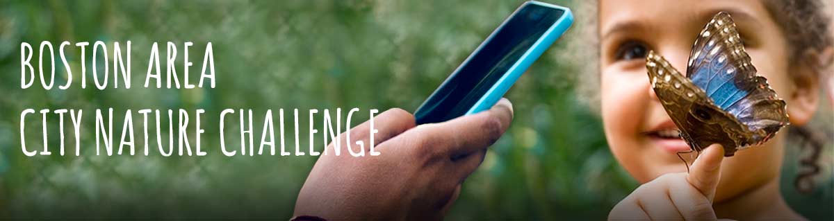 Wildlife Conservation at our Zoos and Around the World | Zoo New England