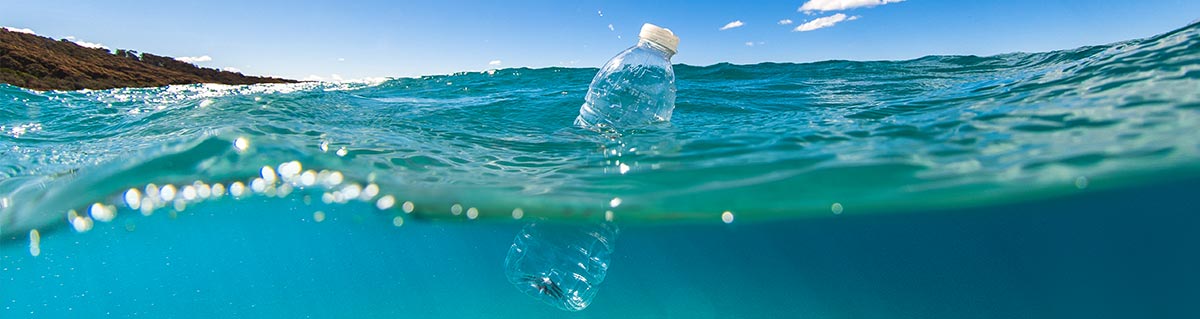 Wildlife Conservation at our Zoos and Around the World | Zoo New England