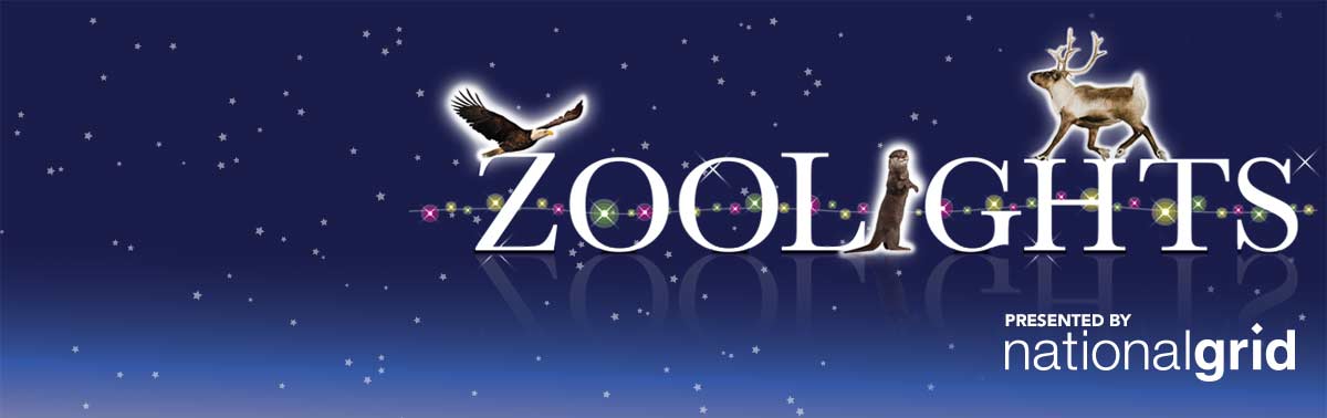 Plan a Visit to Stone Zoo in Stoneham, MA | Zoo New England