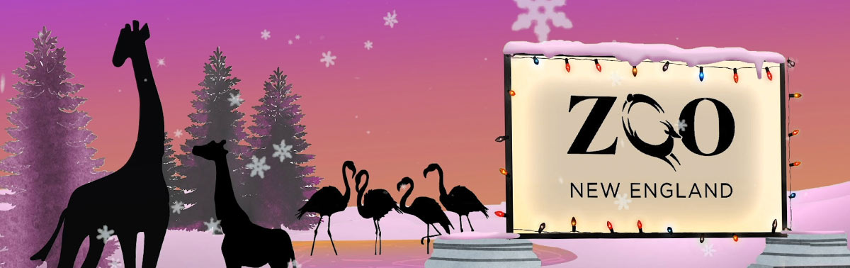 Plan a Visit to Stone Zoo in Stoneham, MA | Zoo New England