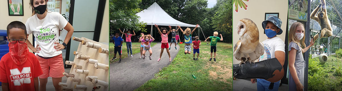 Educational Programs, Camps and Classes | Zoo New England