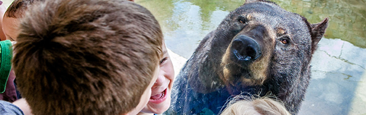 Plan a Visit to Stone Zoo in Stoneham, MA | Zoo New England