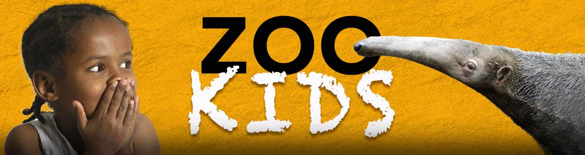 Educational Programs, Camps and Classes | Zoo New England