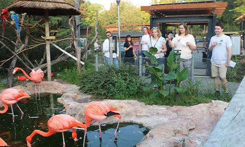 Ales & Tails | Stone Zoo