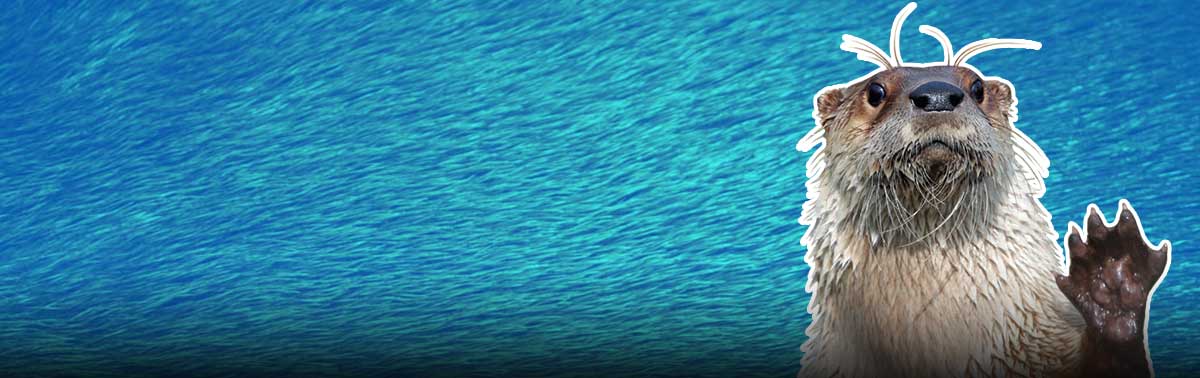 Plan a Visit to Stone Zoo in Stoneham, MA | Zoo New England