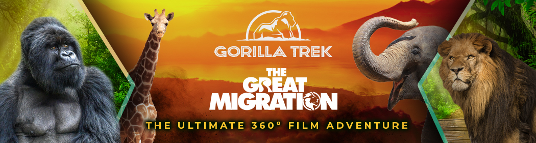 Attractions | Stone Zoo